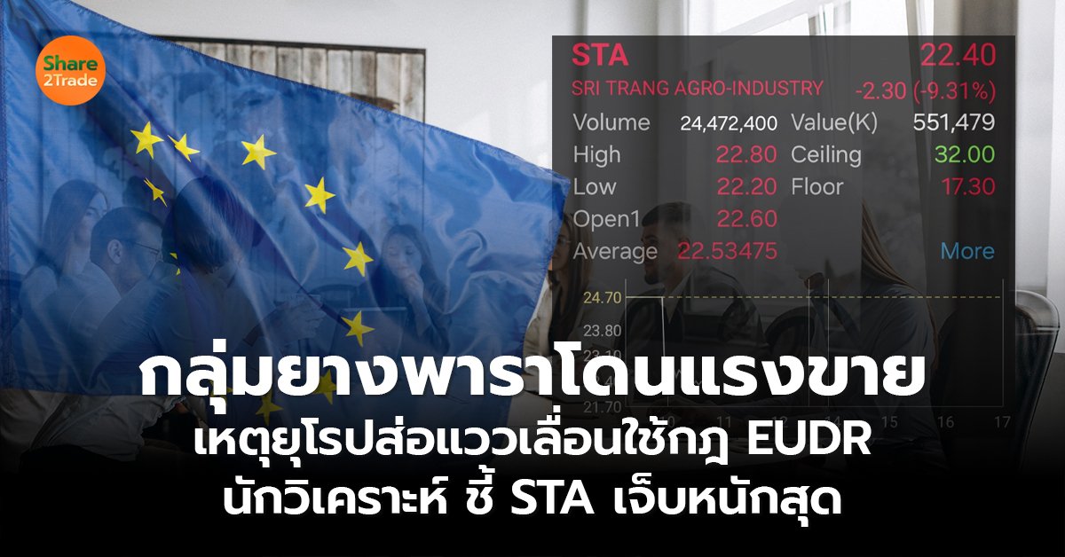 กลุ่มยางพาราโดนแรงขาย เหตุยุโรปส่อแววเลื่อนใช้กฎ EUDR นักวิเคราะห์ ชี้ STA เจ็บหนักสุด | Share2Trade